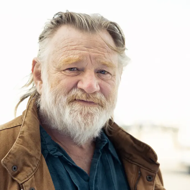 Catch up with Gleeson - irishfilmtv.com